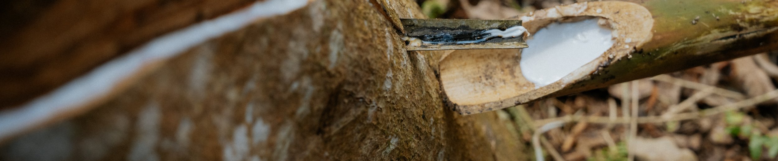 Responsibly Sourced Natural Rubber