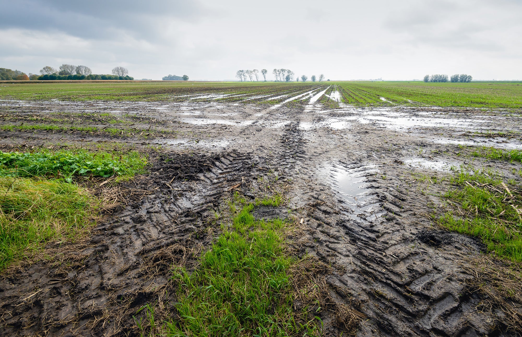 Les agriculteurs sont invités à faire preuve de prudence sur les sols ...