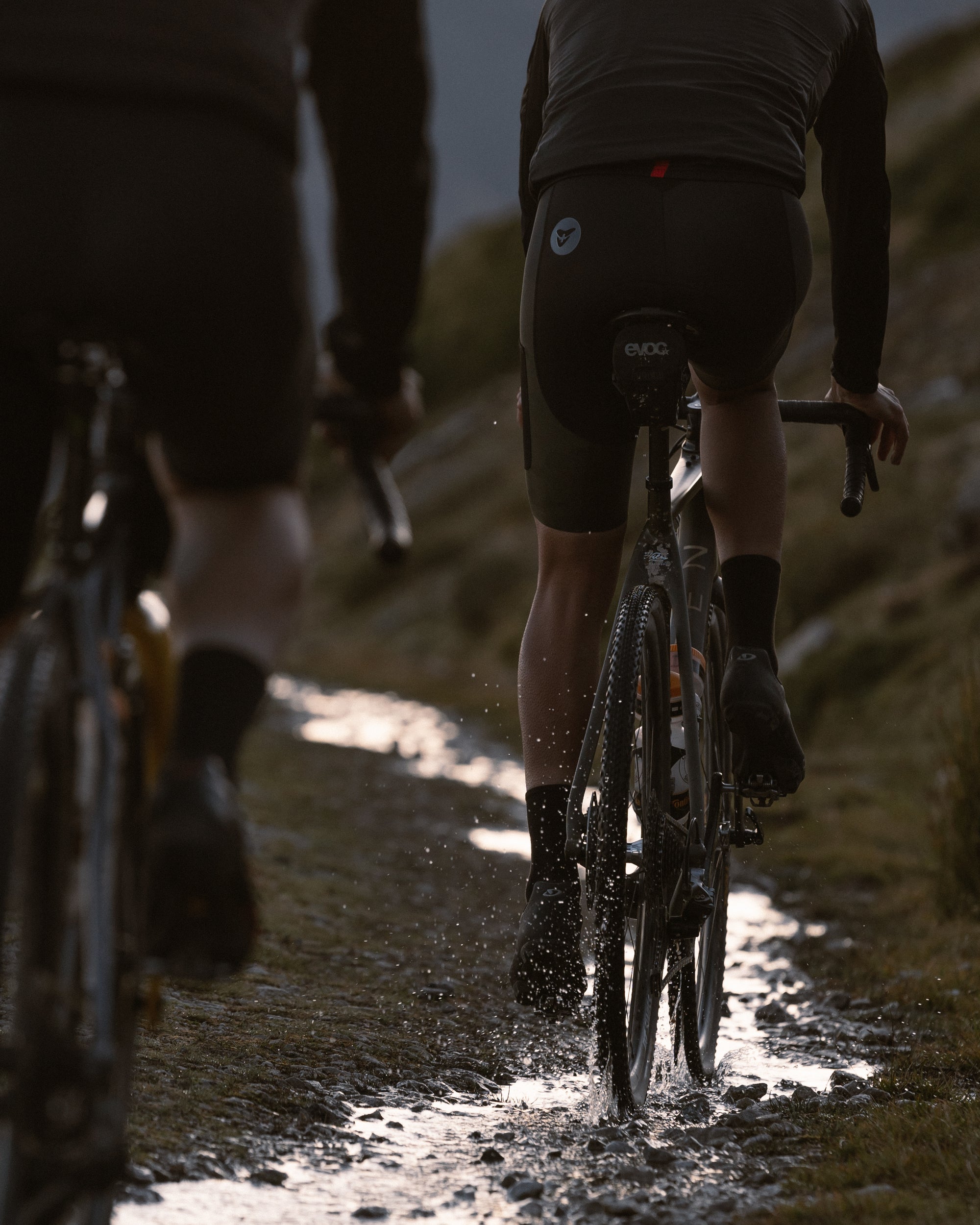 Terra Trail | Shieldwall