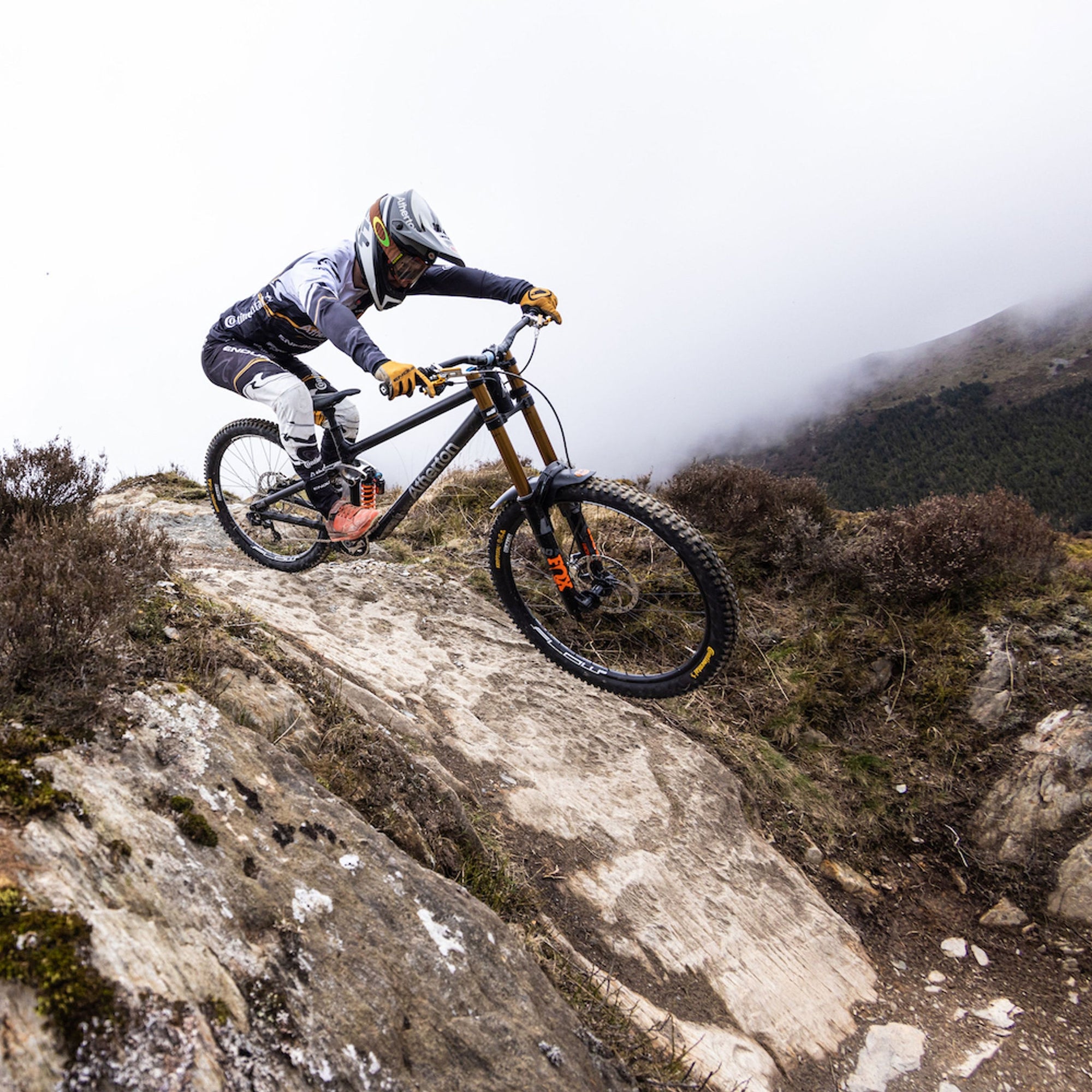 Continental Bicycle Tires