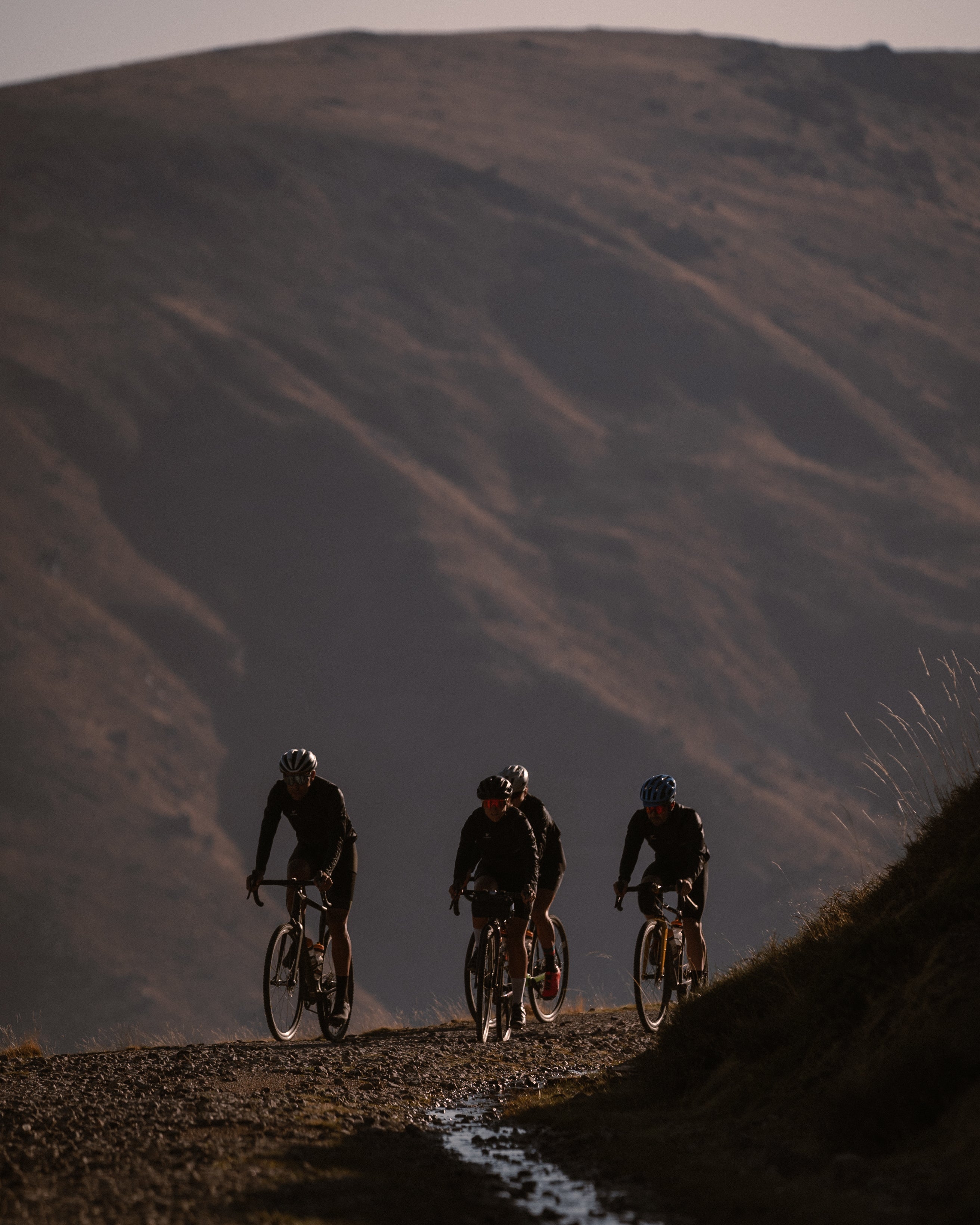 Terra Trail | Shieldwall