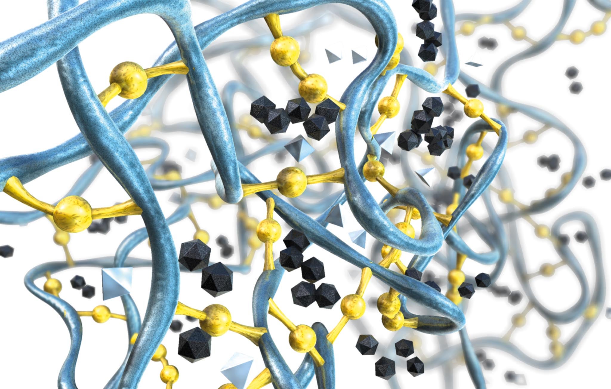 CS20+: The Comfortable Specialist