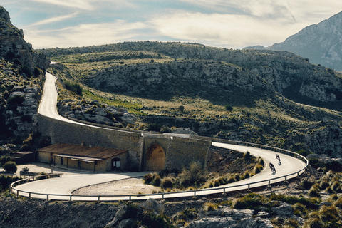 Bicycle Tires - Road