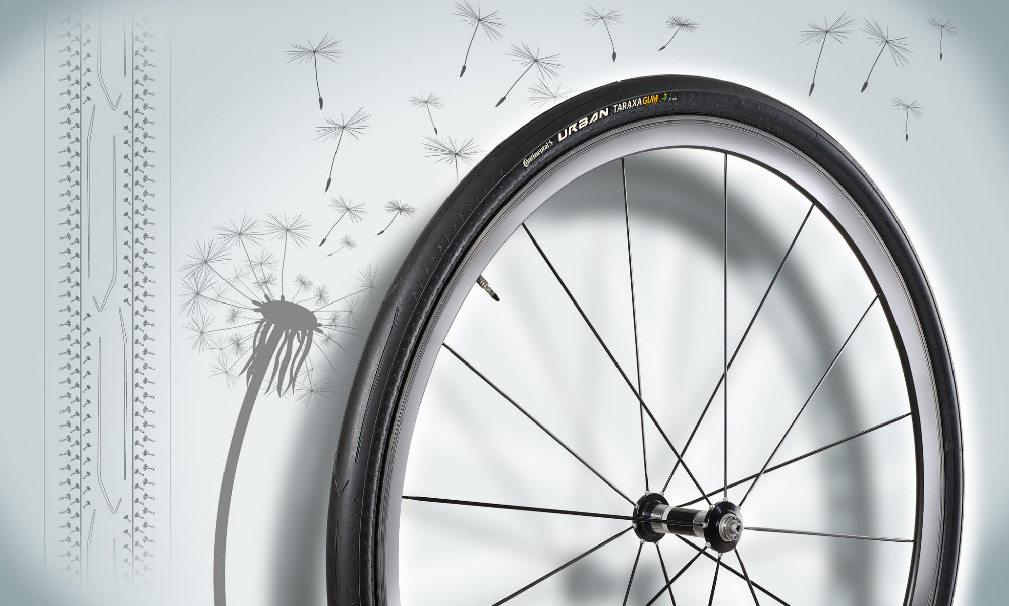 Urban Taraxagum: Made of dandelion rubber
